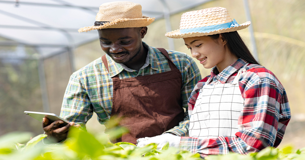 Almond Production and Farming Practices – Adnoor