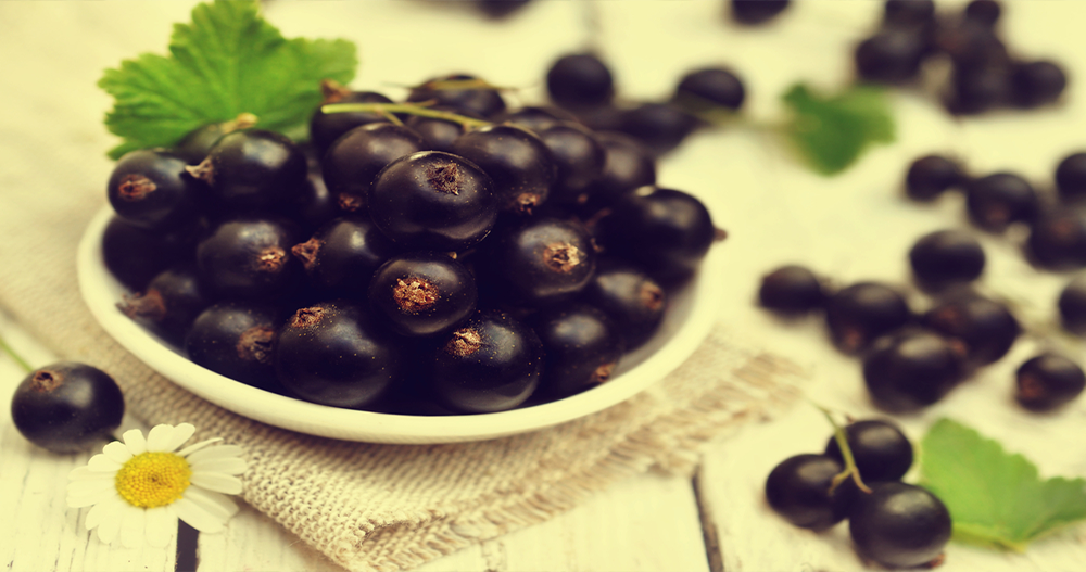 All You Need To Know About Currants – Adnoor